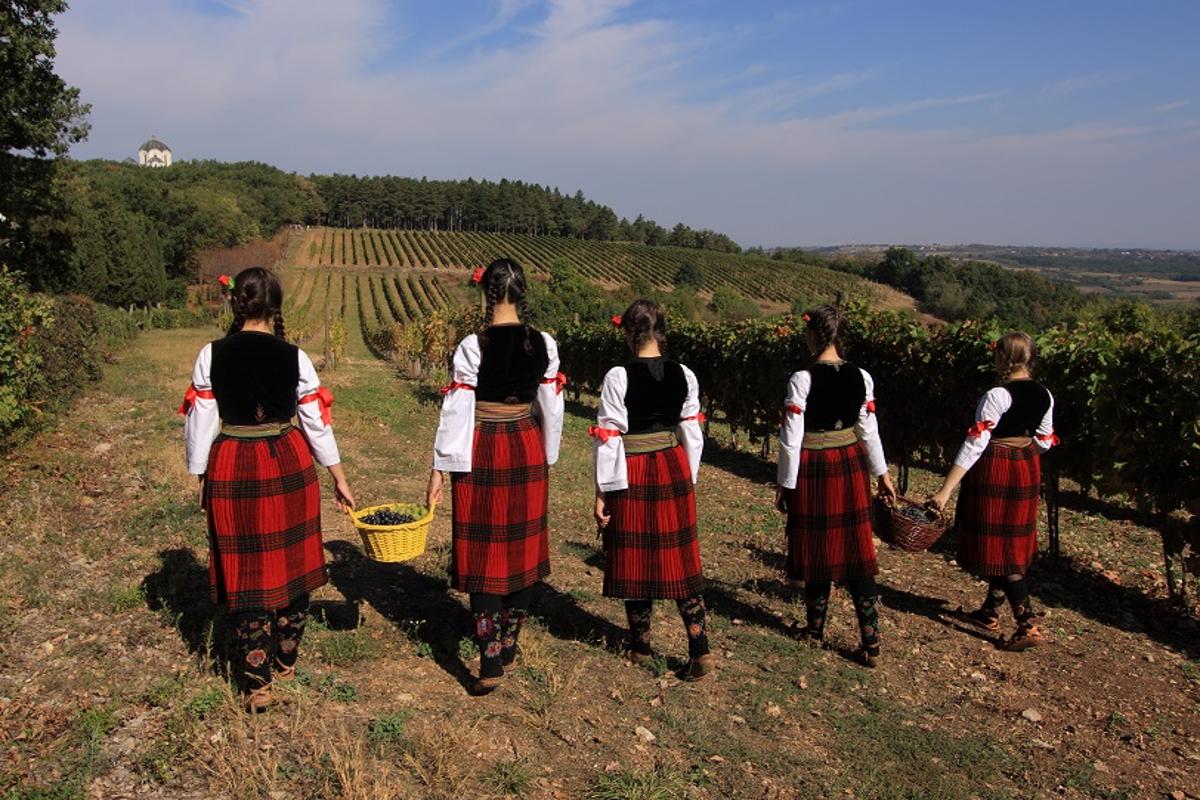 Booking BOS - Topola, Oplenac, kraljevska vinarija i pećina Risovača ...