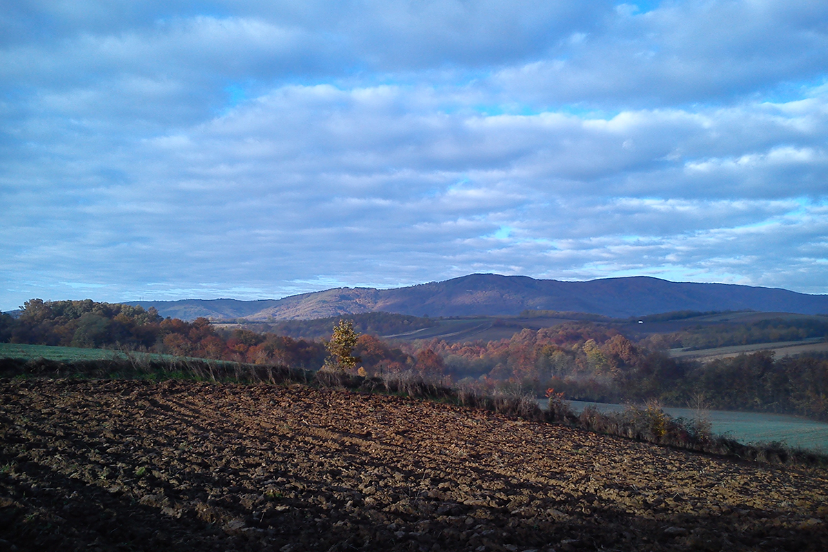 Day Trips from Belgrade & Tours in Serbia | SerbianAdvent