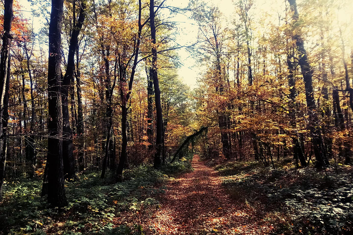 SerbianAdventures - book online your tour in Serbia